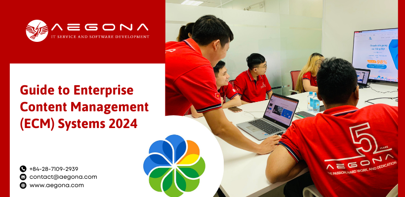 Aegona | Software Development Company in Vietnam - Web and Mobile ...